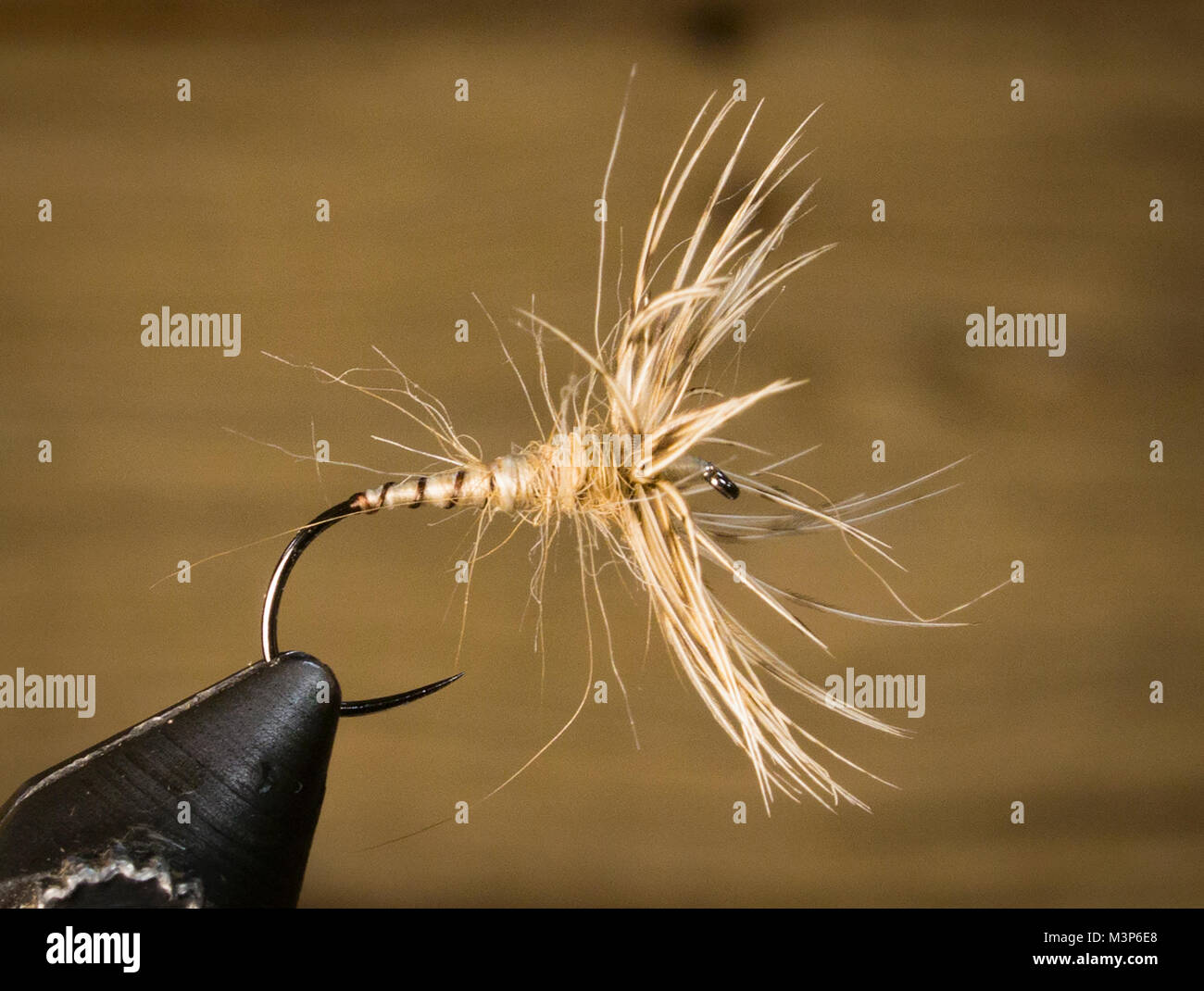 Dun Pheasant Thorax Spider Sakasa Kebari soft hackle wet fly. Hook ...