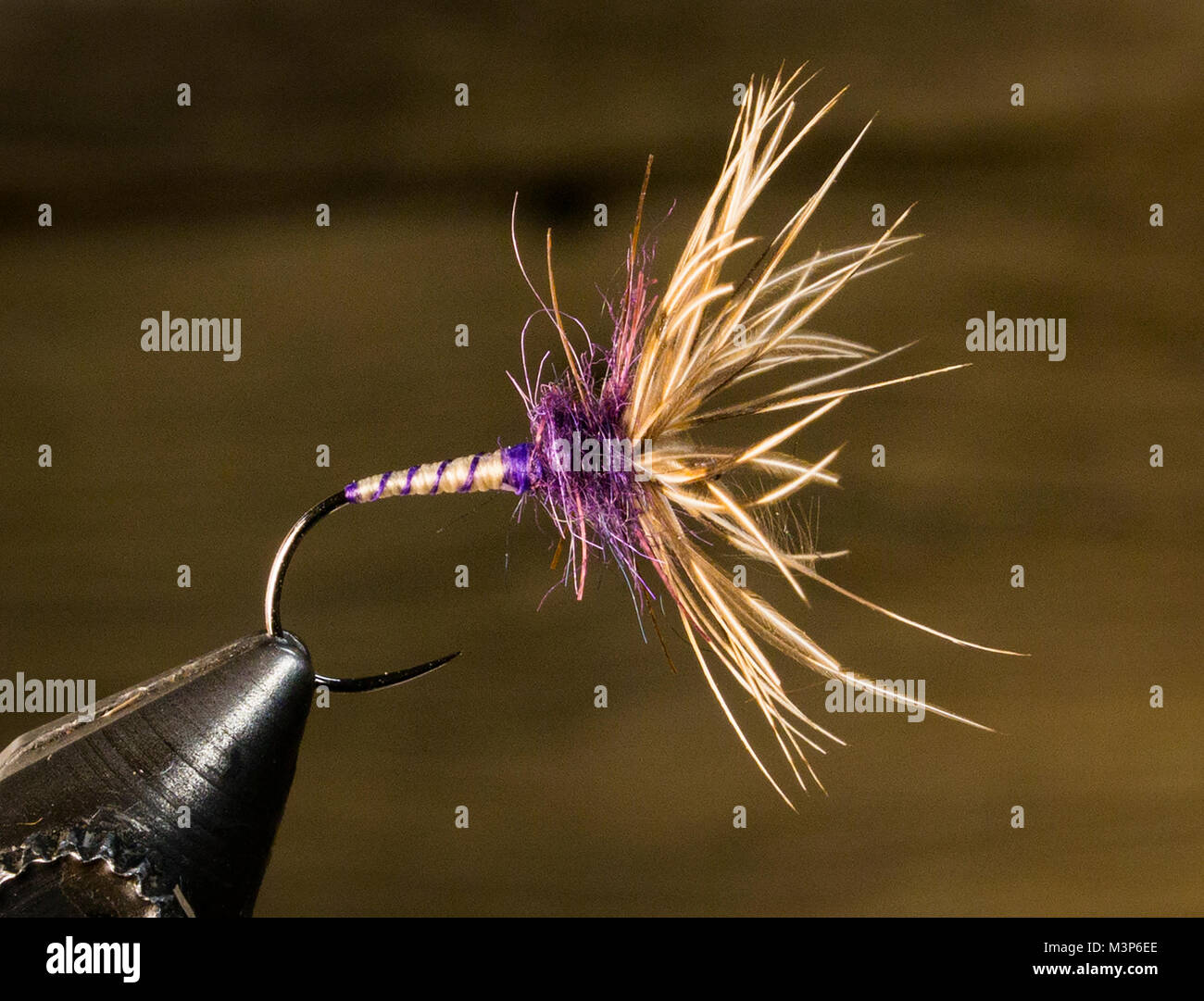 Purple Pheasant Thorax Spider Sakasa Kebari soft hackle wet fly. Hook ...