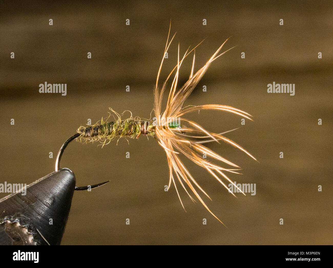 Hackle head hi-res stock photography and images - Alamy