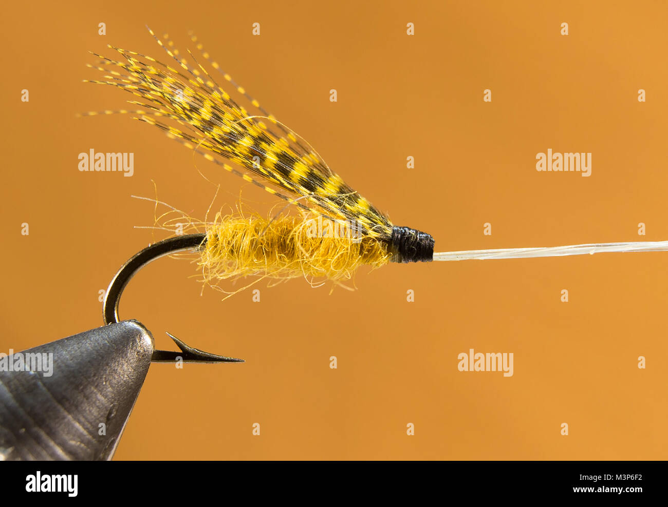 Ginger hackle feather hi-res stock photography and images - Alamy