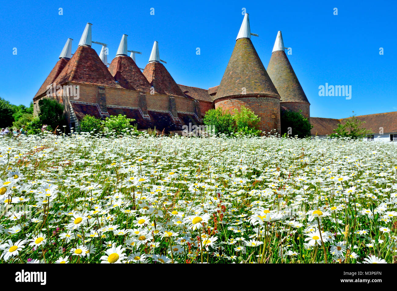 England vernacular architecture High Resolution Stock Photography and ...