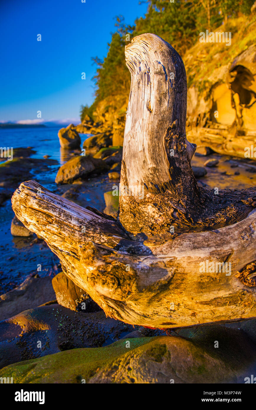 Scenic view of the ocean overlooking the bay of Nanaimo from Jack Point ...