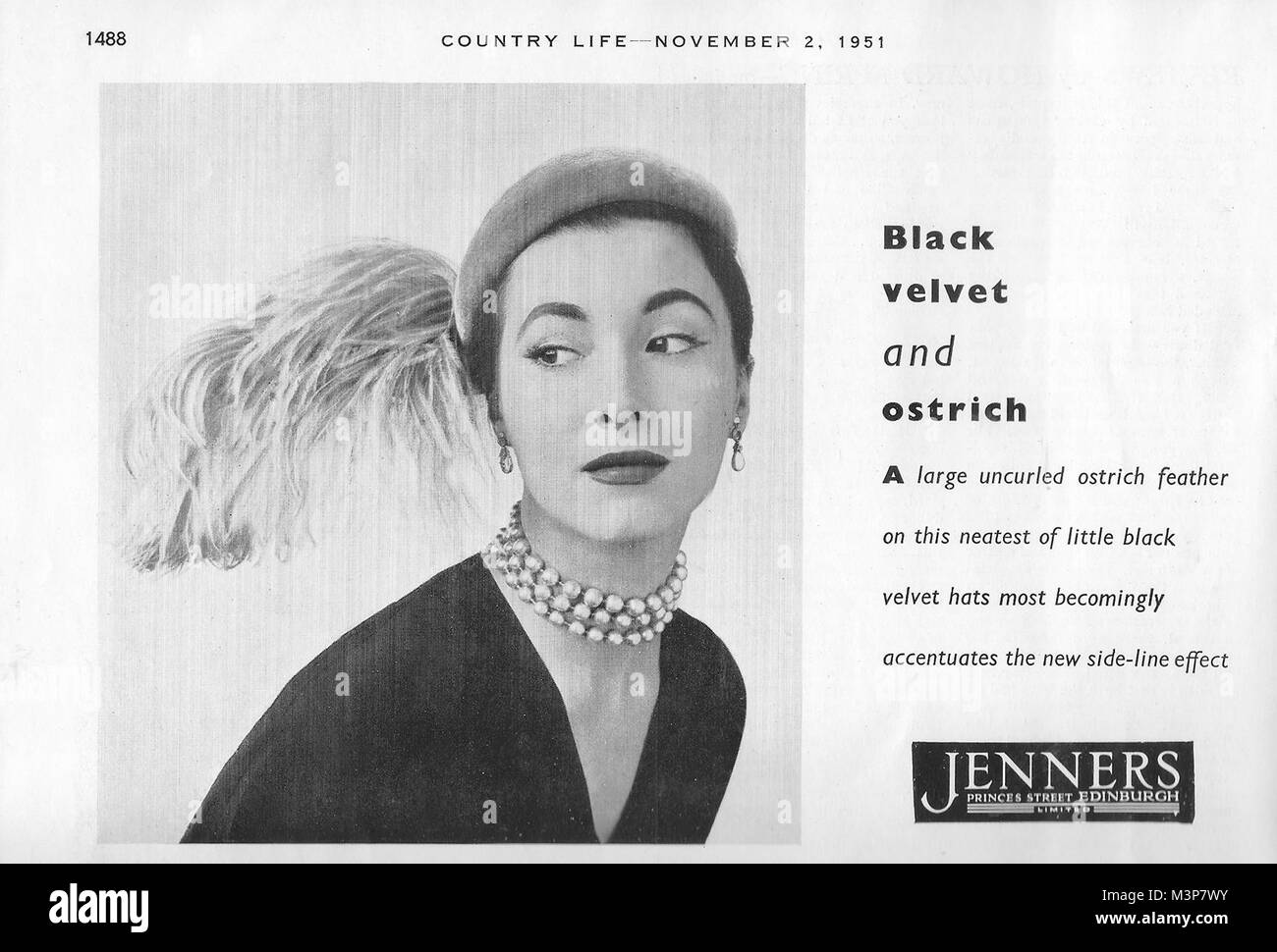 Jenners Black Velvet And Ostrich Feather Advert Advertising In Country