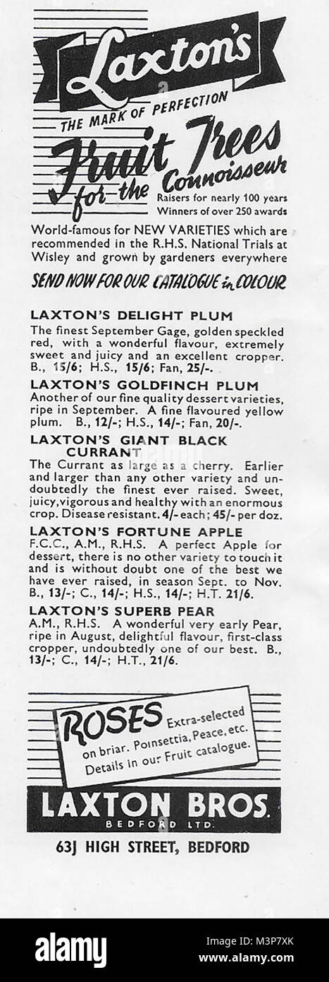 Laxton fruit trees advert, advertising in Country Life magazine UK 1951 ...