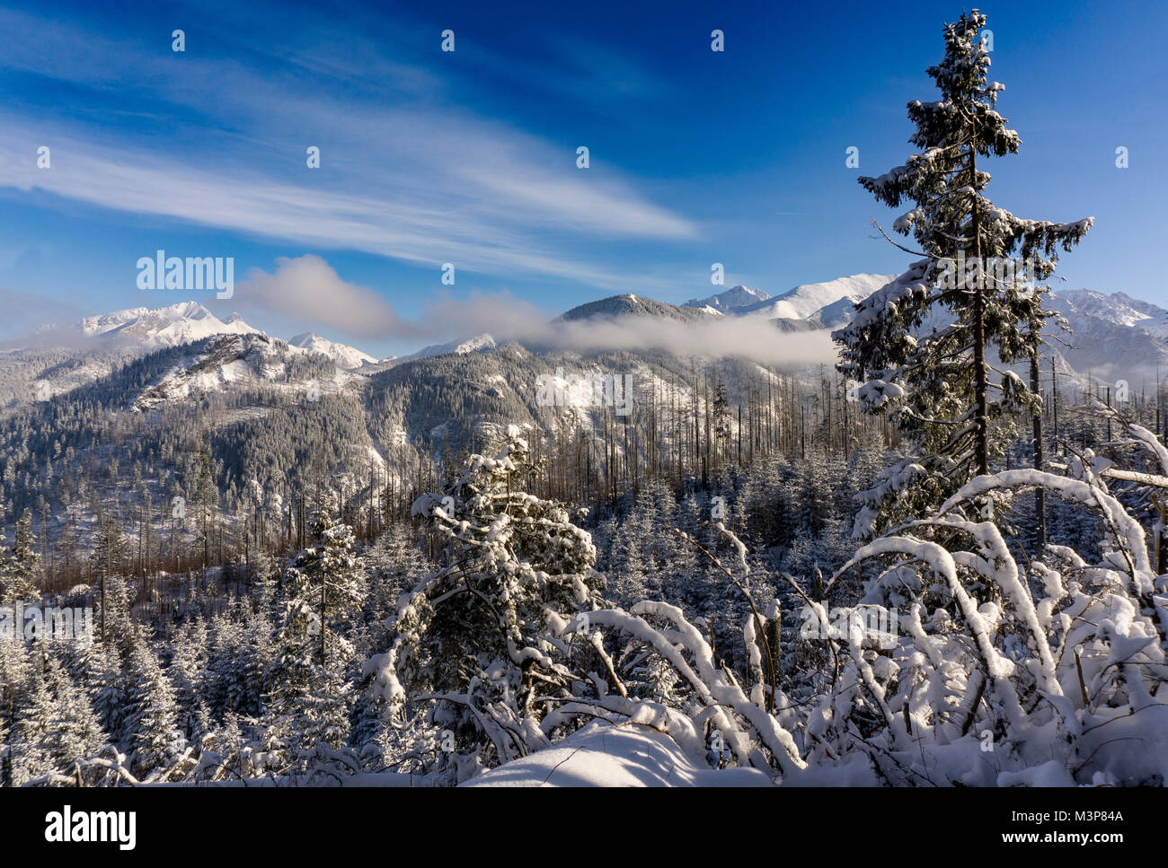 The beauty of winter in the High Tatra Mountains Stock Photo - Alamy