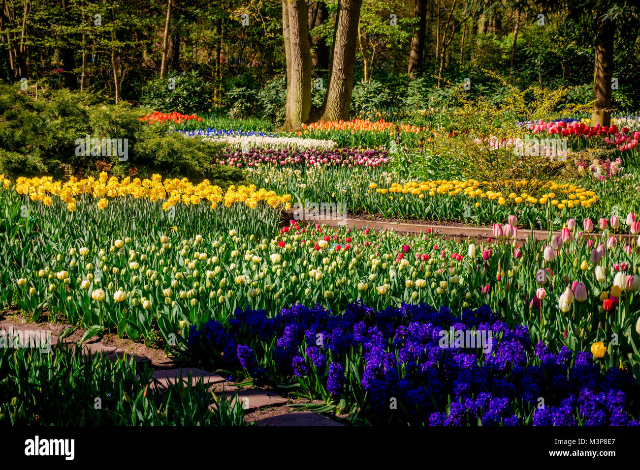 Beautiful park. Landscaped Formal Garden Stock Photo - Alamy