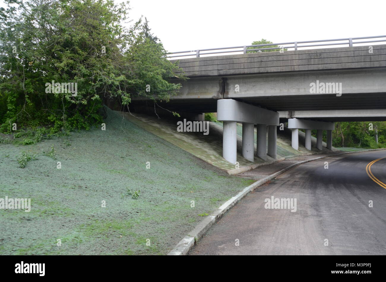 concrete underpass under state road 1 hand painted grass rhode island ...