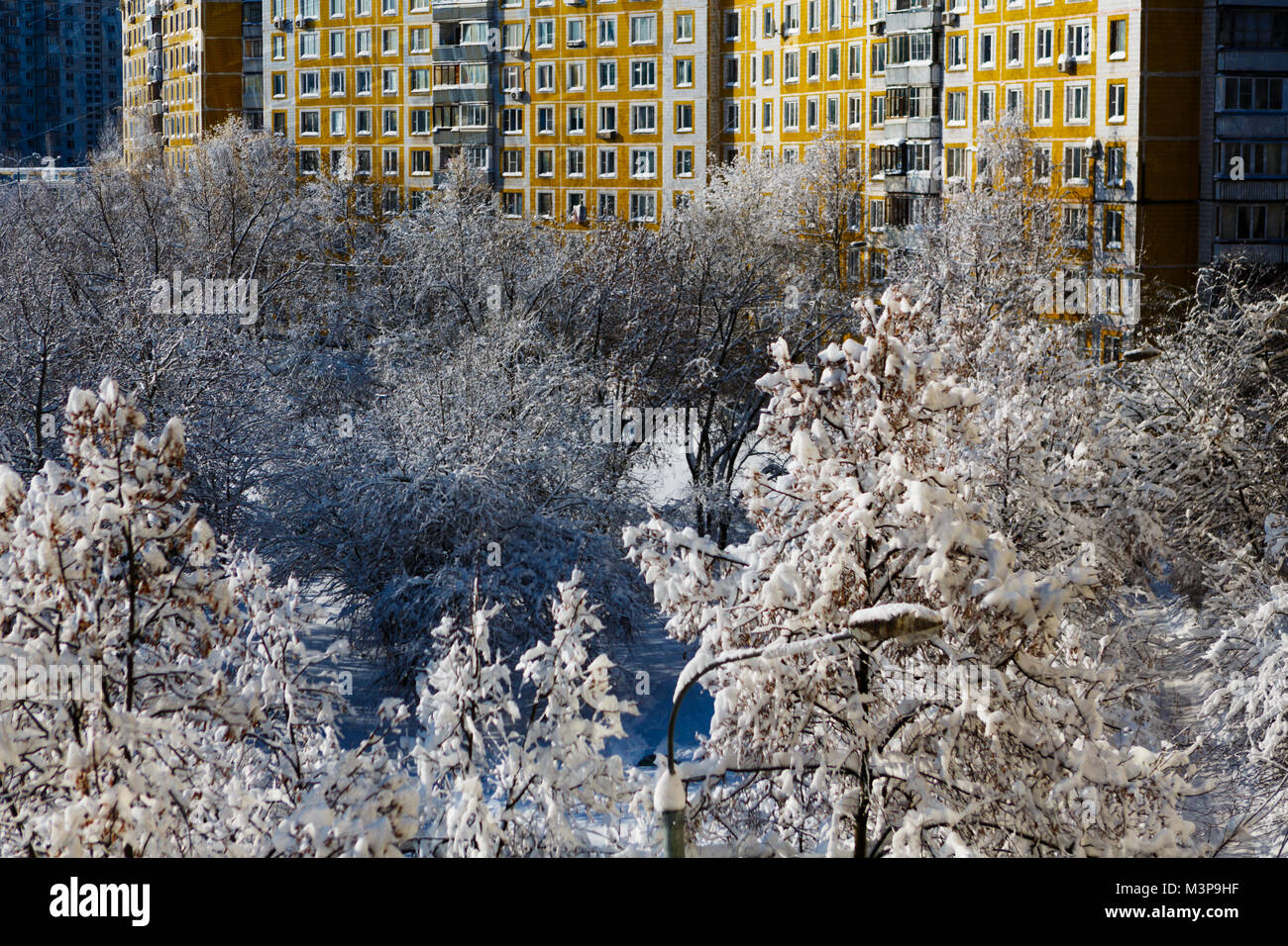 View of the street and snow-covered trees in the city after a heavy ...
