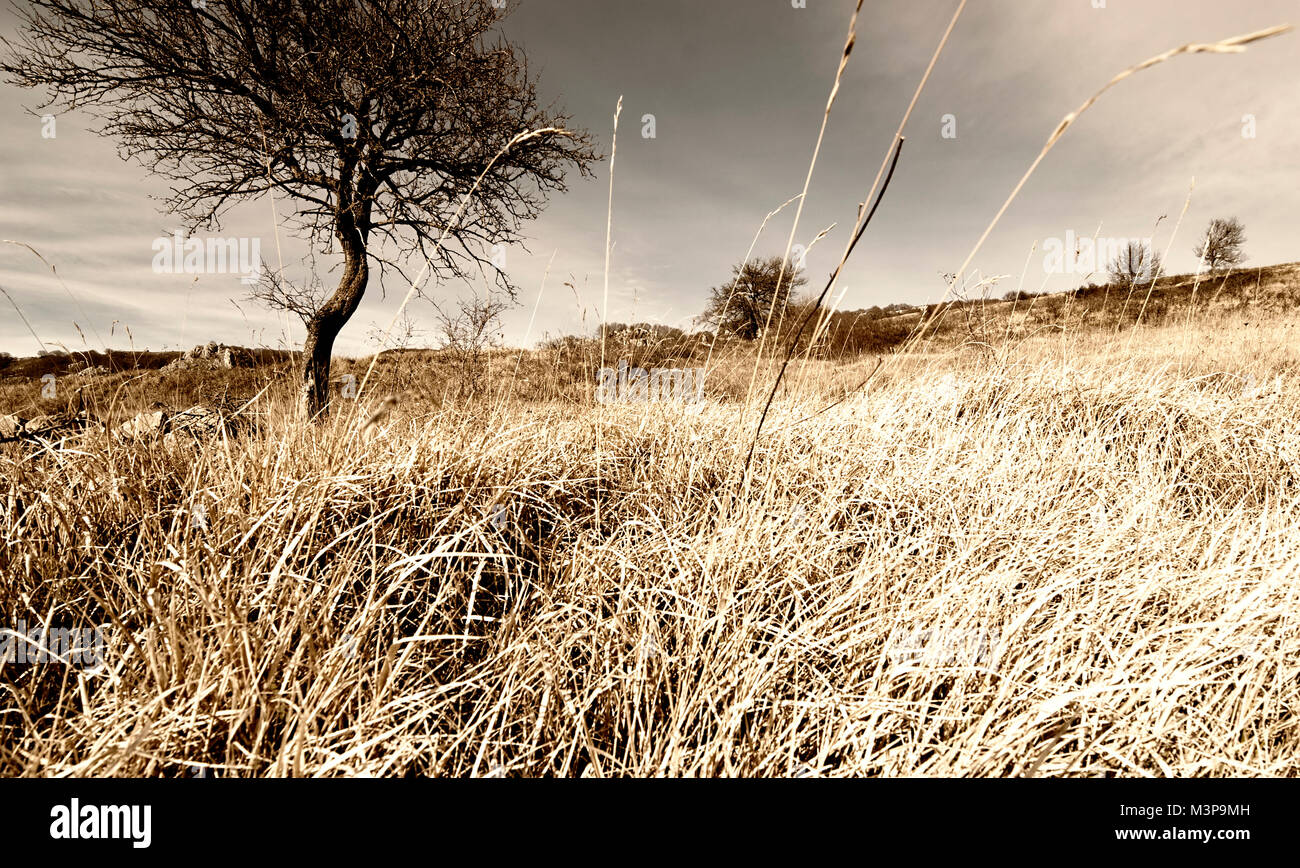 Fallow wheat field hi-res stock photography and images - Alamy