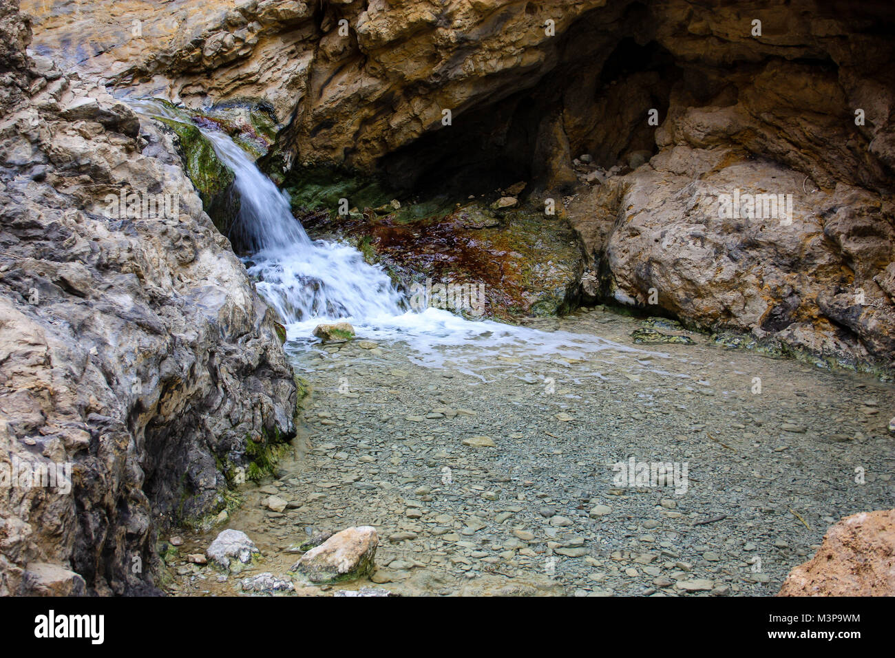 Nature in the Wadi Bokek reserve of the Judean desert in Israel Nature in the Wadi Bokek reserve ...