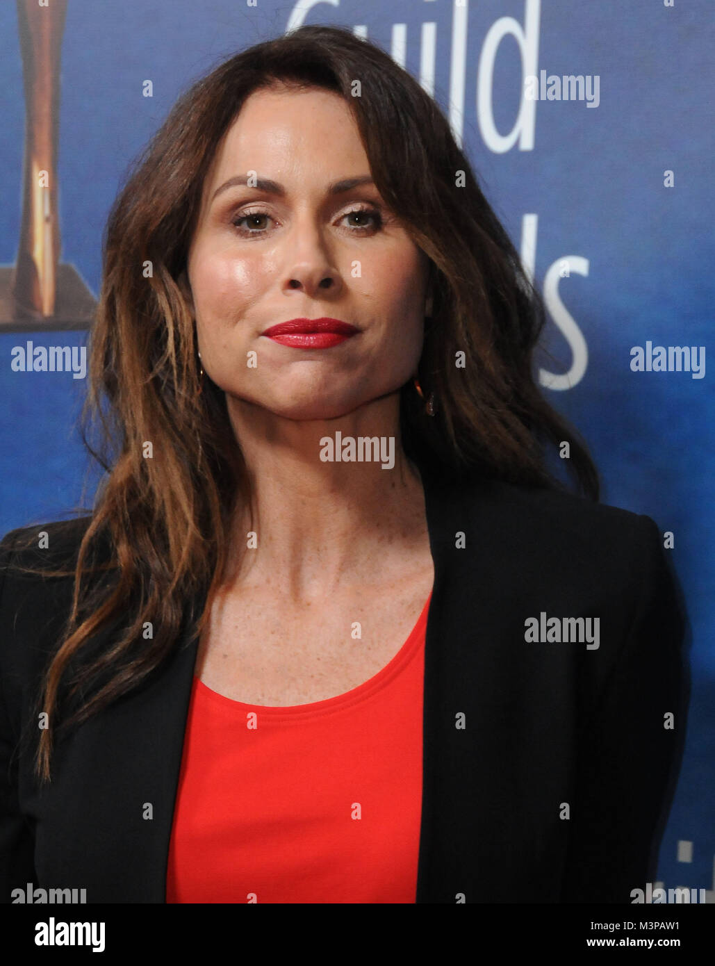 Beverly Hills, USA. 11th Feb, 2018. Actress Minnie Driver attends the ...