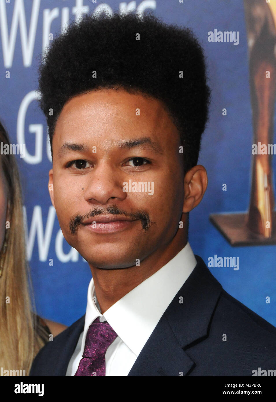 Beverly Hills, USA. 11th Feb, 2018. Writer/actor Willie Hunter attends ...