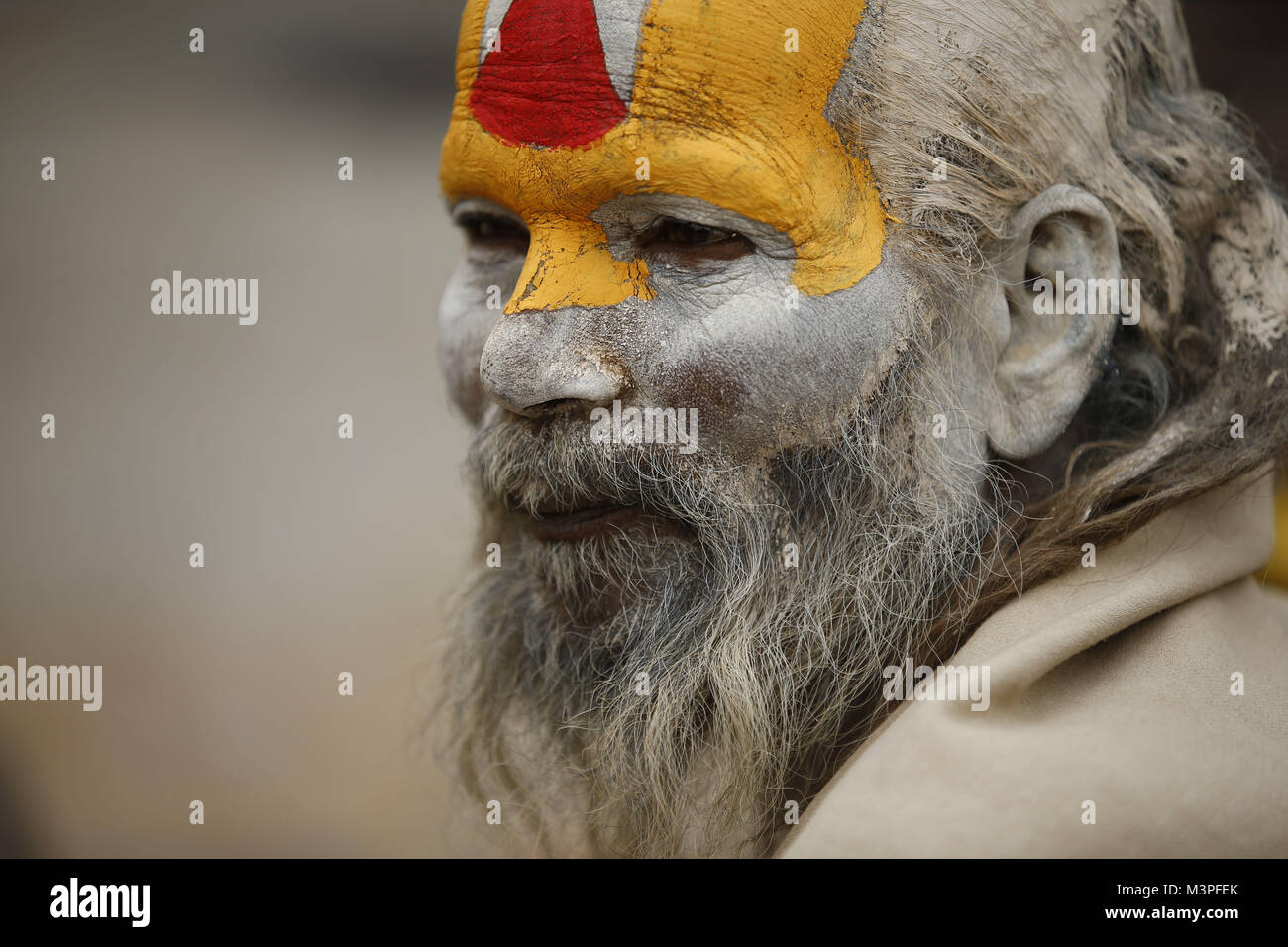 Sadhu inside ashram on holy hi-res stock photography and images - Alamy