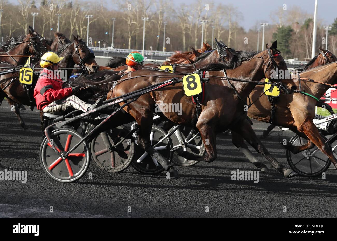 Paris, France. 11th Feb, 2018. Bold Eagle (Franck Nivard) during the ...
