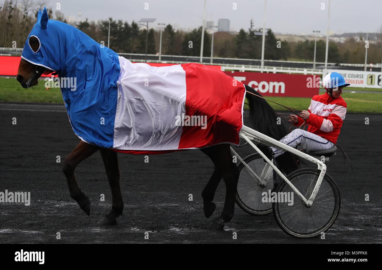 Paris, France. 11th Feb, 2018. Parade Horse during the 2018 Grand Prix ...