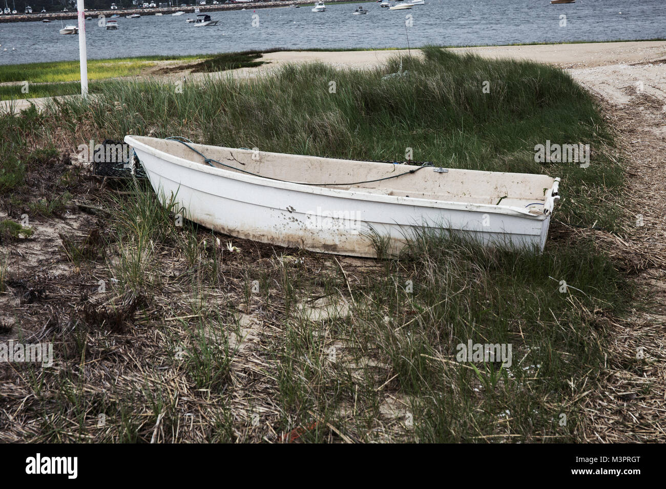 Marsh grass cape cod hi-res stock photography and images - Alamy