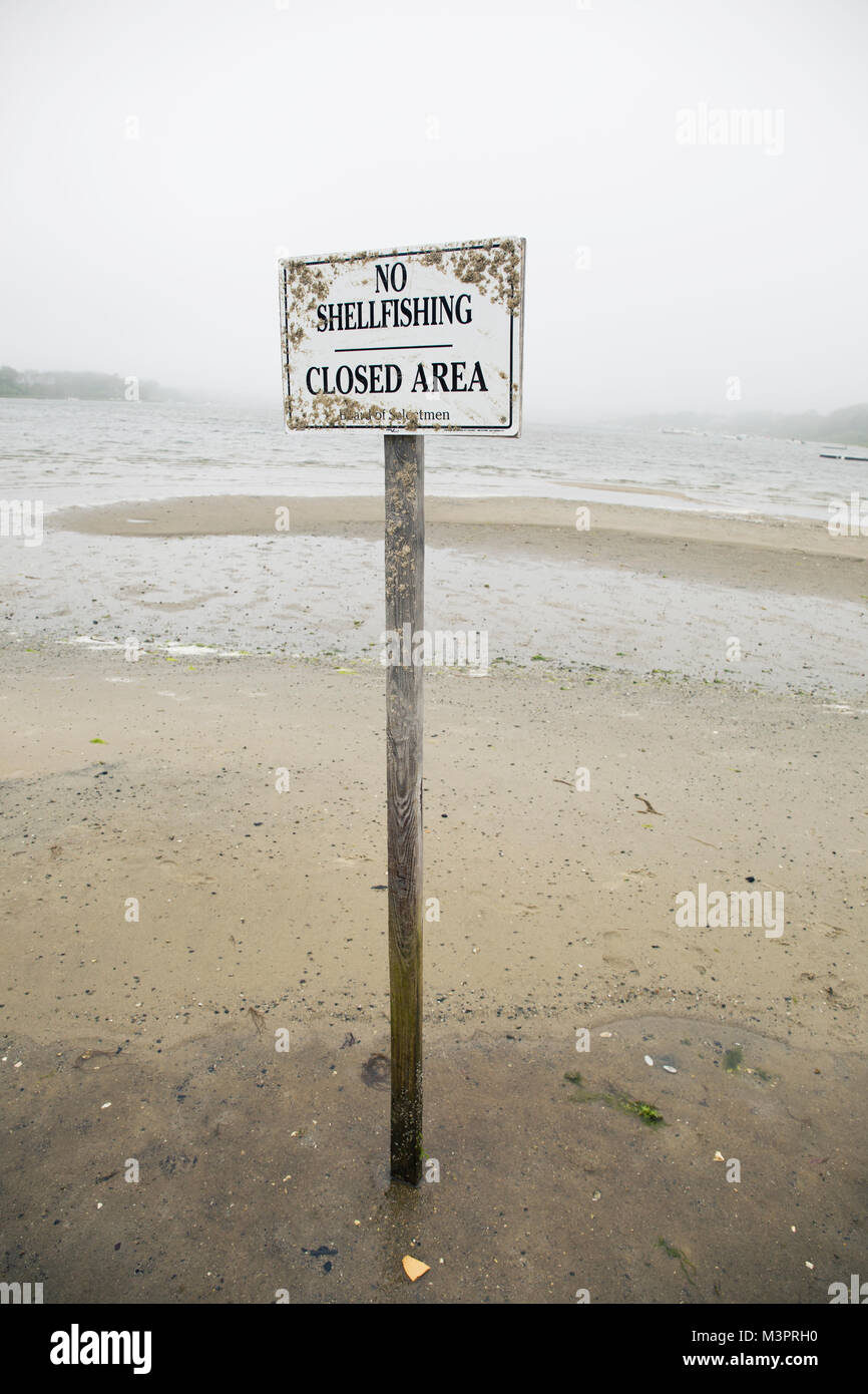 No shellfishing sign on beach in Chatham Massachusetts, Cape Cod Stock ...