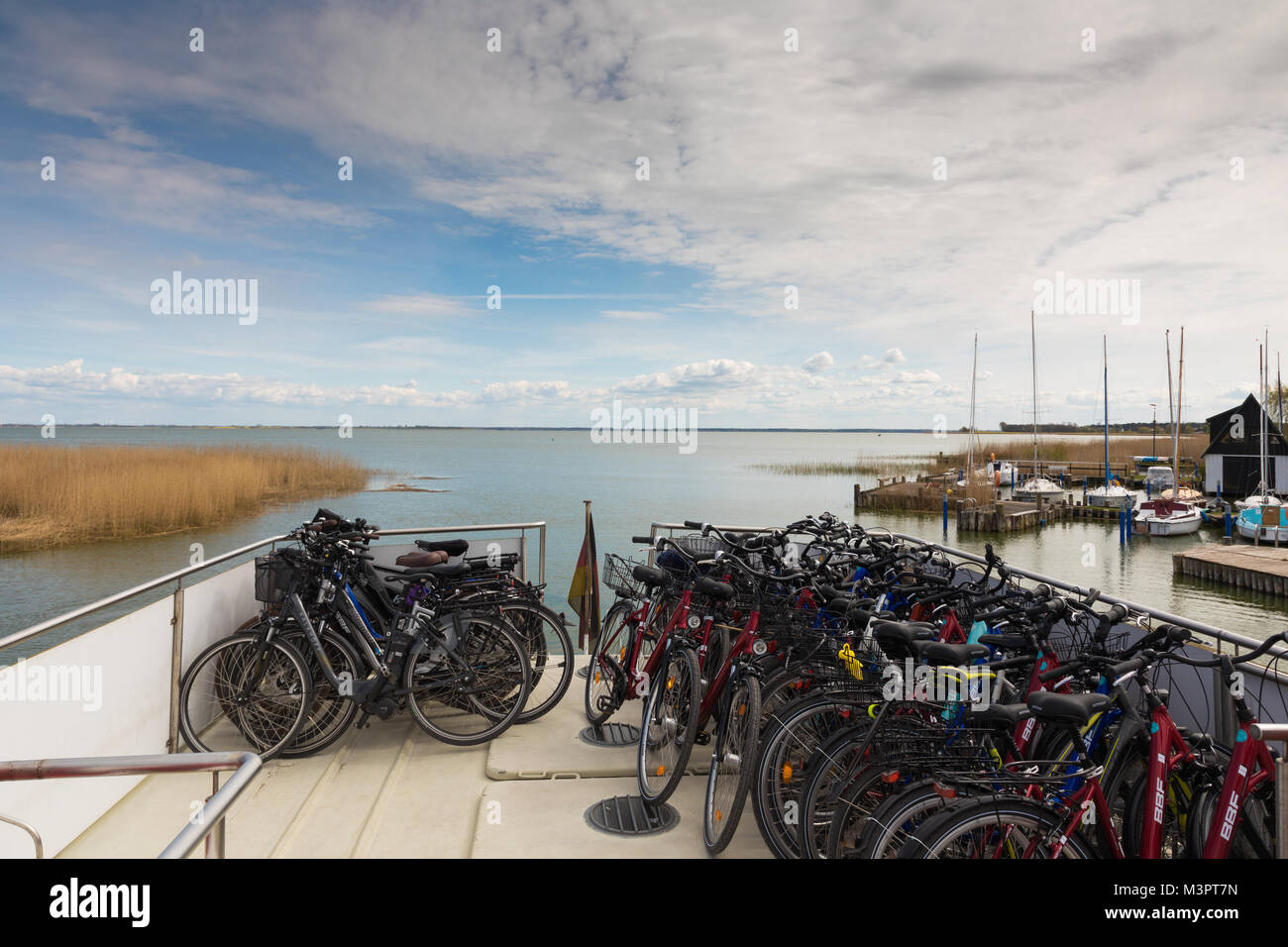 Landscape on bodden, Germany Stock Photo - Alamy