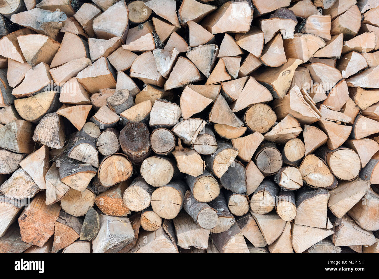 Log texture hi-res stock photography and images - Alamy