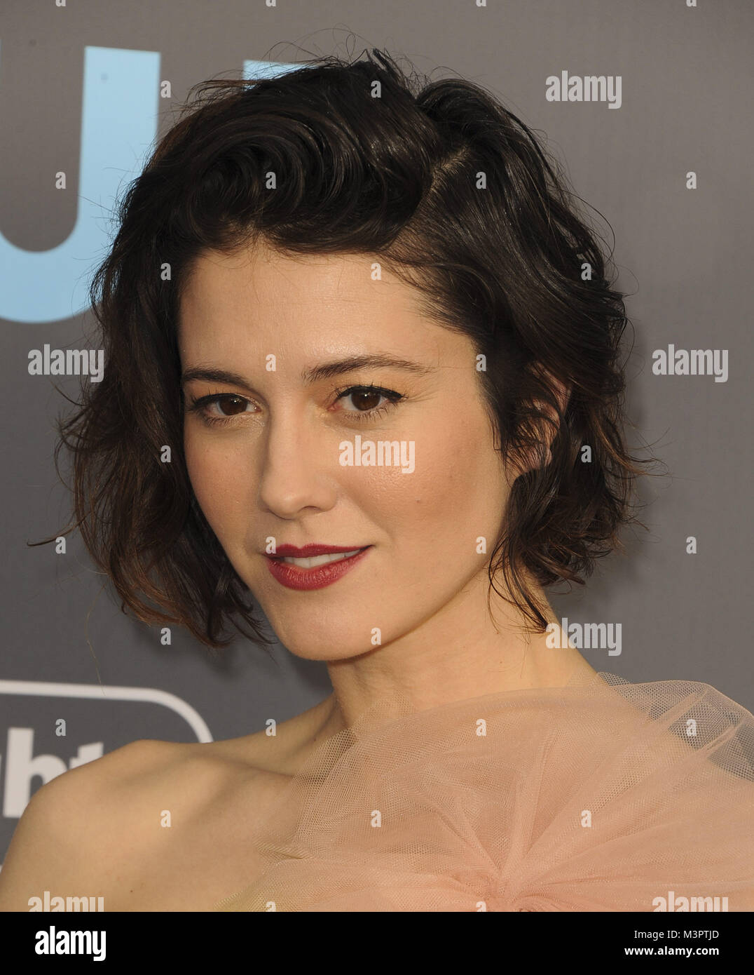 The 23th Annual Critics Choice Awards Arrivals Featuring: Mary ...