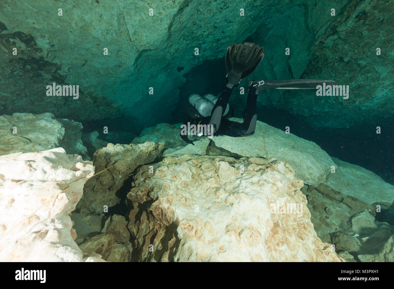 Florida underwater cave spring diving hi-res stock photography and ...