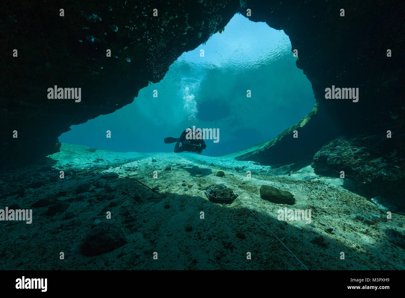 divers underwater caves diving Florida Jackson Blue cave USA Stock ...