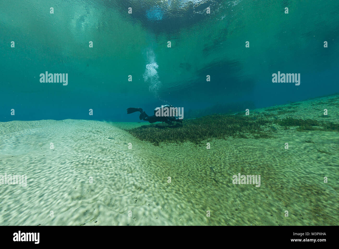 divers underwater caves diving Florida Jackson Blue cave USA Stock ...