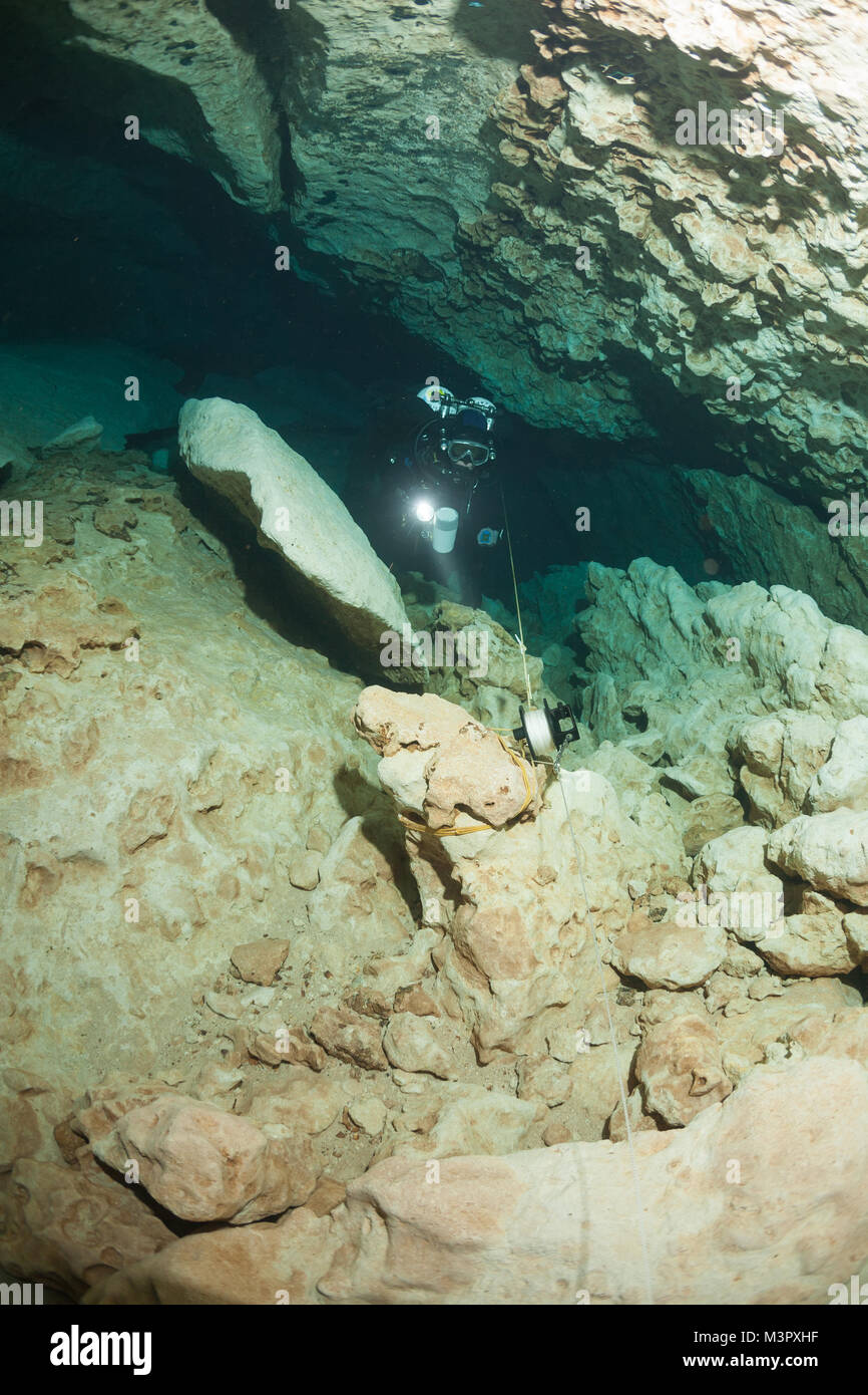 divers underwater caves diving Florida Jackson Blue cave USA Stock ...