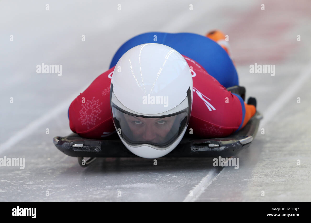 Kimberley bos of the netherlands hi-res stock photography and images ...
