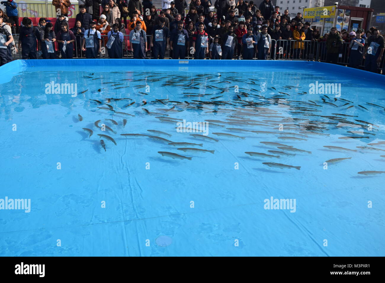 Hwacheon, Republic Of Korea. Jan. 22, 2018. Participants enjoying the ...