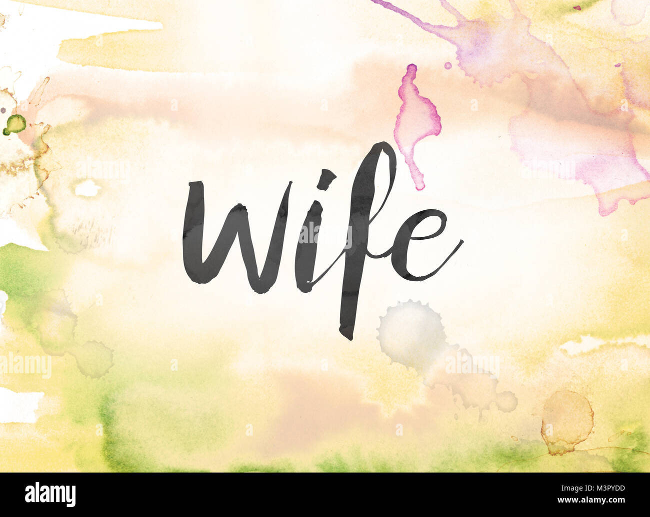 The word Wife concept and theme written in black ink on a colorful ...