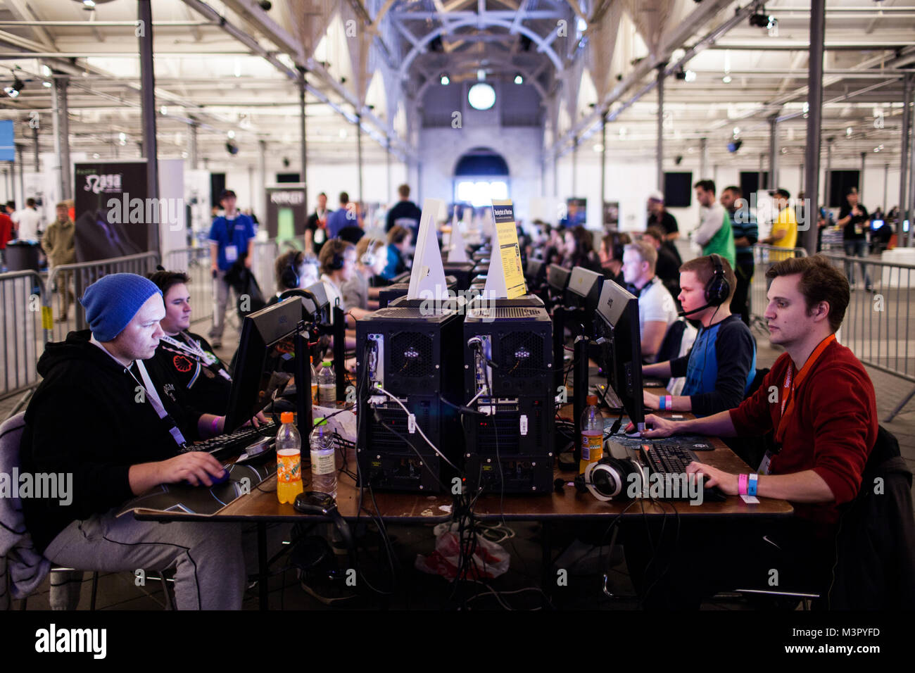 A group of young men is lined up in front of their computers at a LAN ...