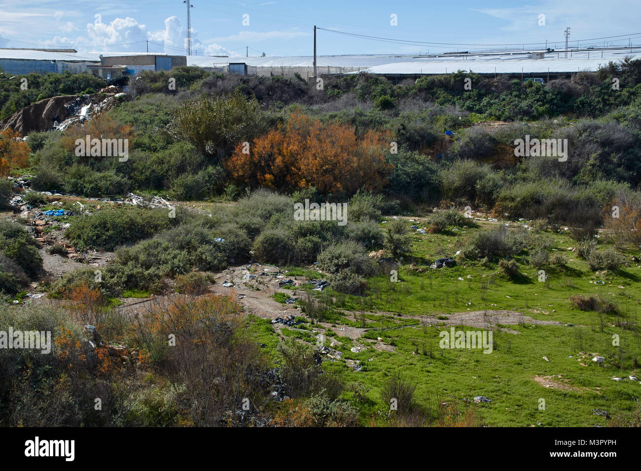 Plastic sheet pollution hi-res stock photography and images - Alamy