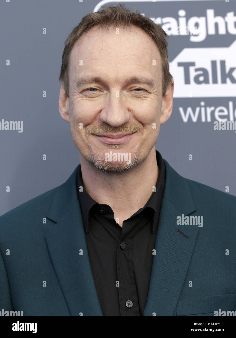 The 23rd Annual Critics' Choice Awards - Arrivals Featuring: David ...