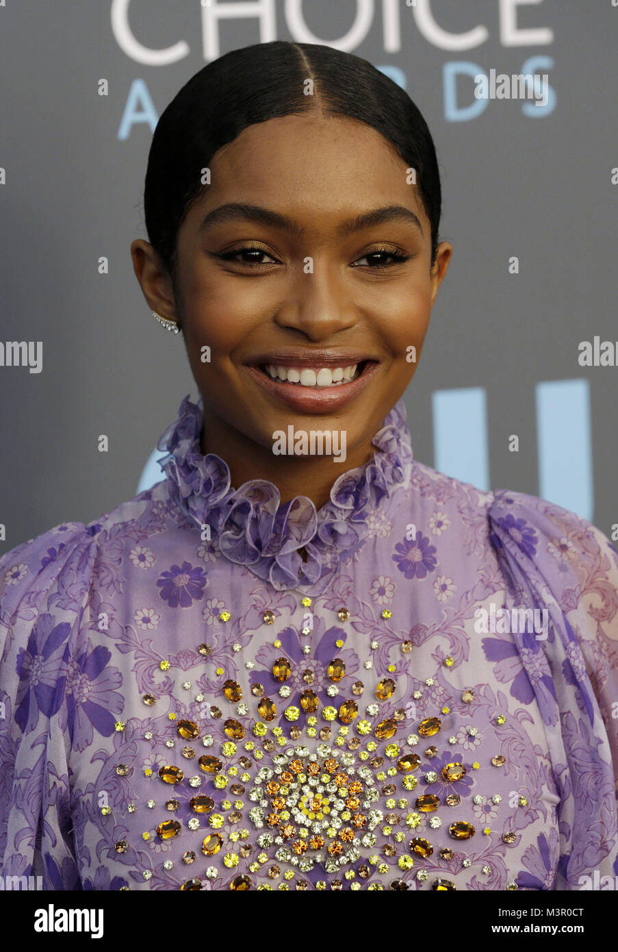 23rd Annual Critics' Choice Awards at Barker Hangar - Arrivals ...