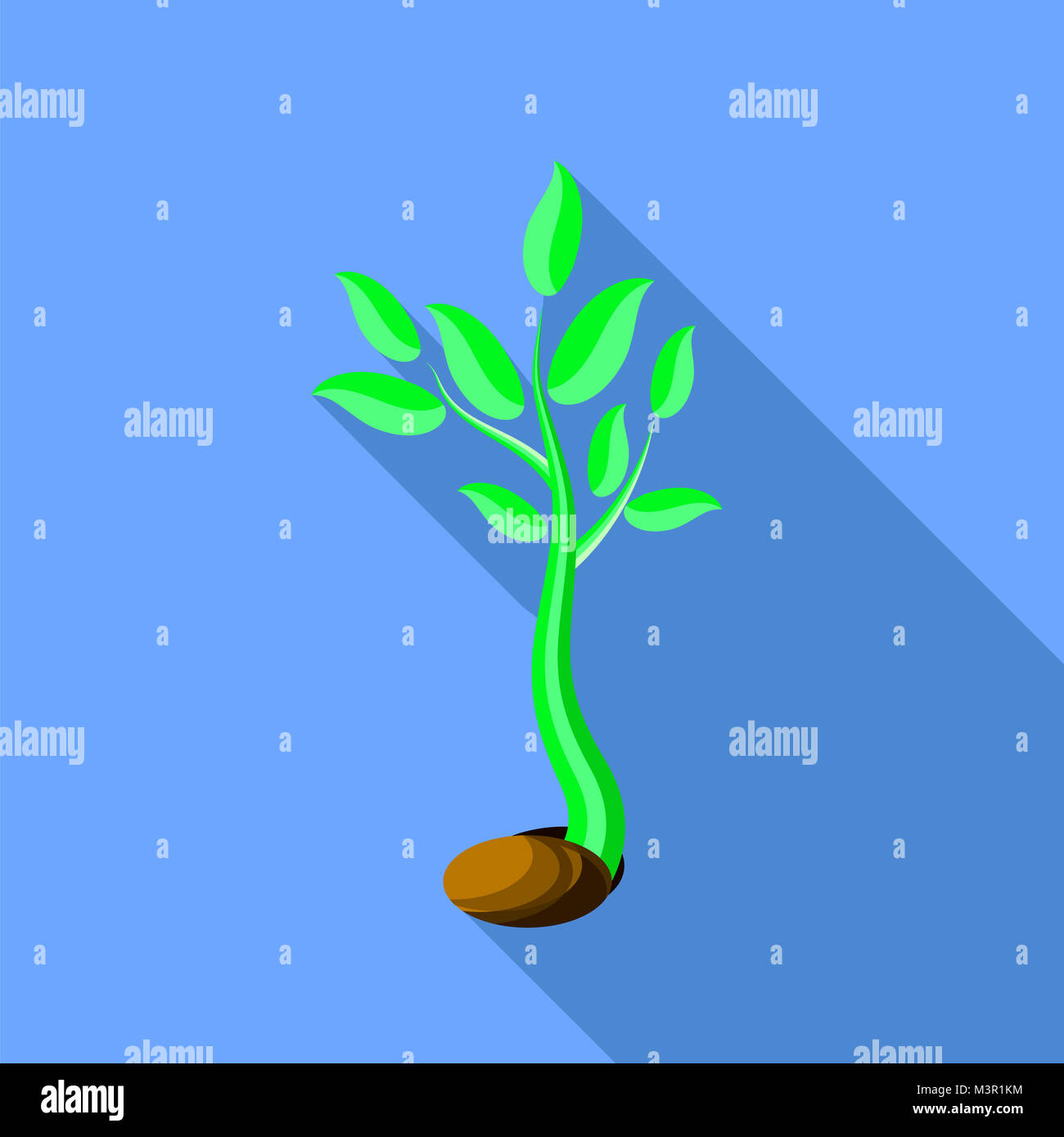 Plant Growth. Little Green Sprout Seedling Germinating from Seed Stock ...