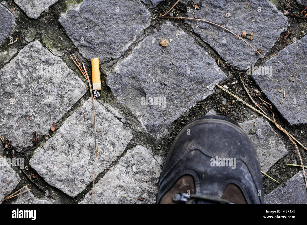 Close up of a cigarette butt on the pavement Stock Photo - Alamy