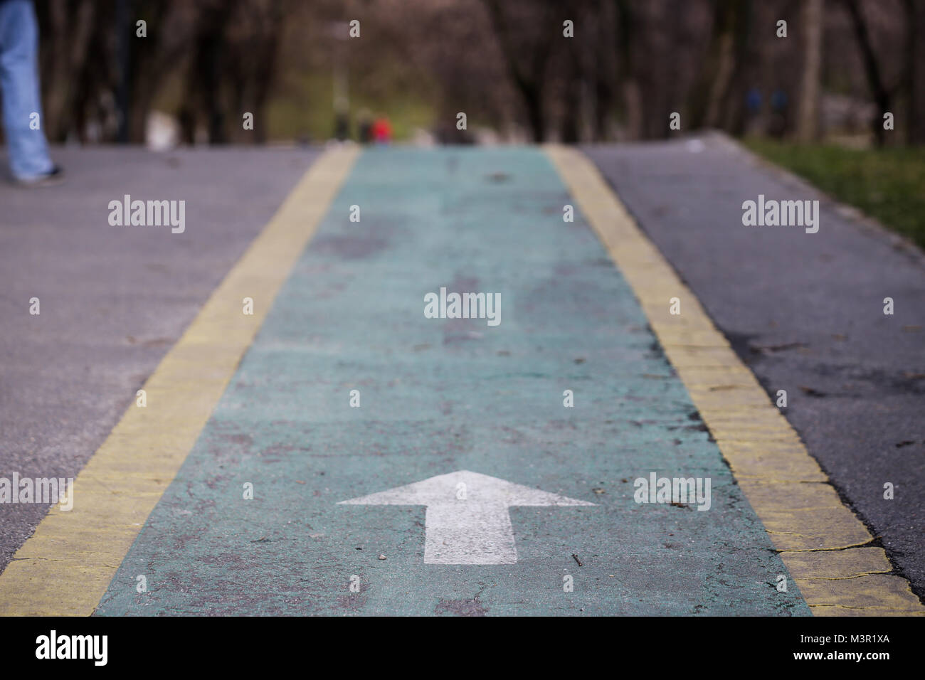 Arrow pointing forward on bycicle lane in a park Stock Photo - Alamy