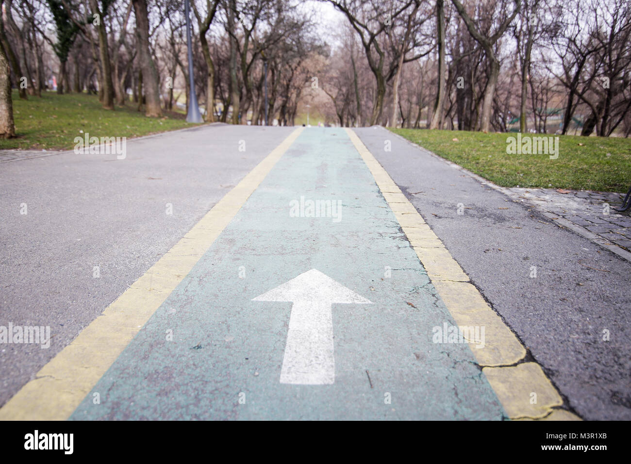Arrow pointing forward on bycicle lane in a park Stock Photo - Alamy