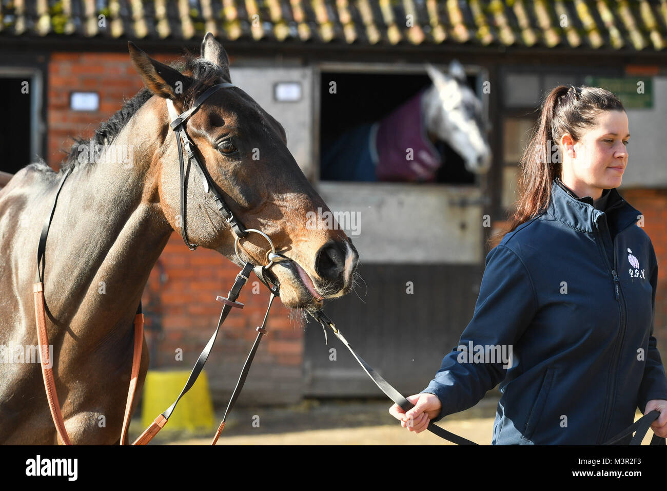 Frodon is paraded during the stable visit to Paul Nicholls' yard at ...