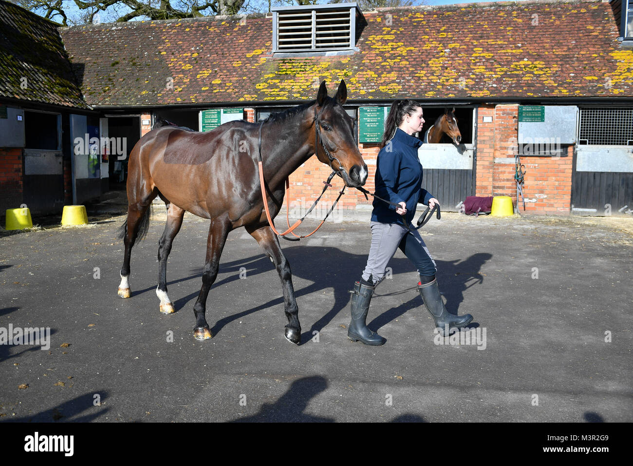 Frodon is paraded during the stable visit to Paul Nicholls' yard at ...