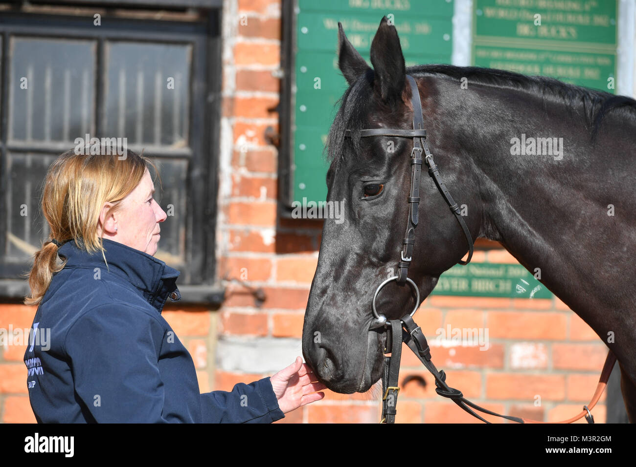 Black Corton is paraded during the stable visit to Paul Nicholls' yard ...