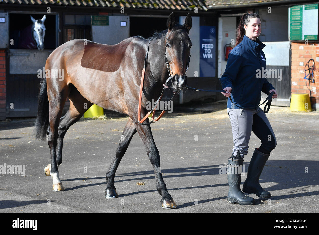 Frodon is paraded during the stable visit to Paul Nicholls' yard at ...