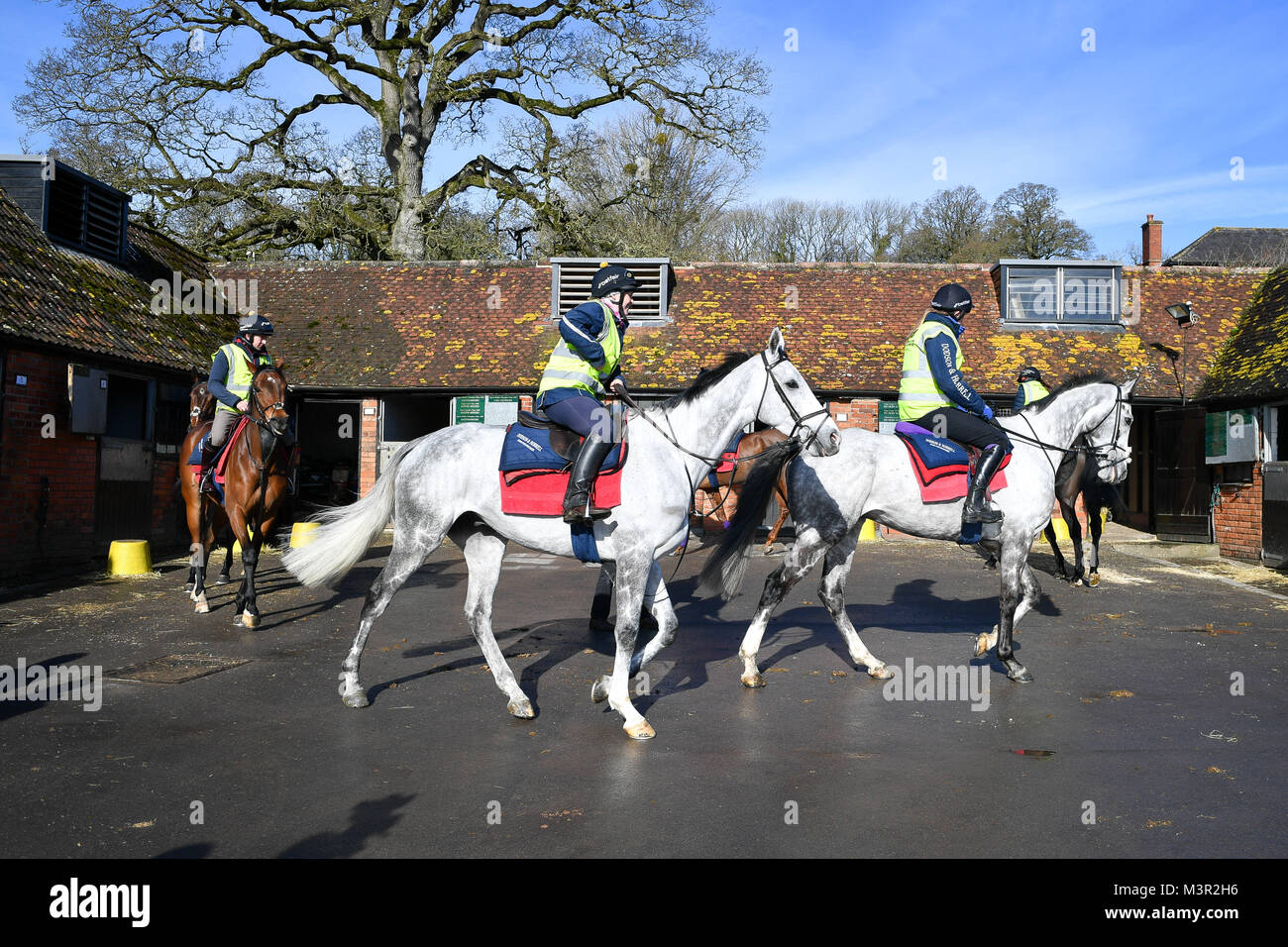 Riders prepare the horses for the gallops during the stable visit to ...
