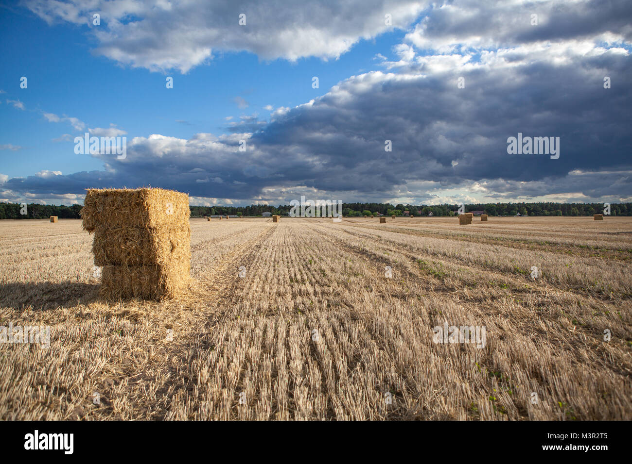 Farmland, fields, Countryside Stock Photo - Alamy