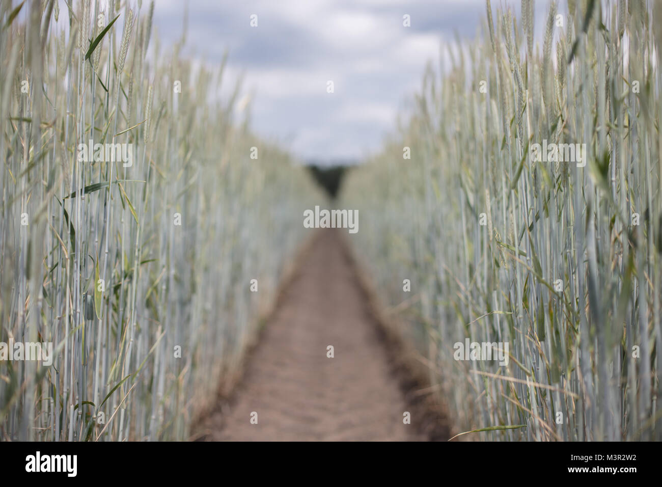 Farmland, fields, Countryside Stock Photo - Alamy
