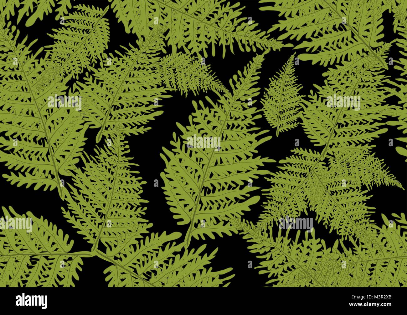 fern seamless texture on back background Stock Vector Image & Art - Alamy