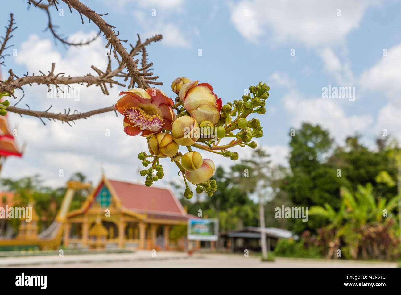 Thailand, Sam Roi Yot National Park Stock Photo - Alamy