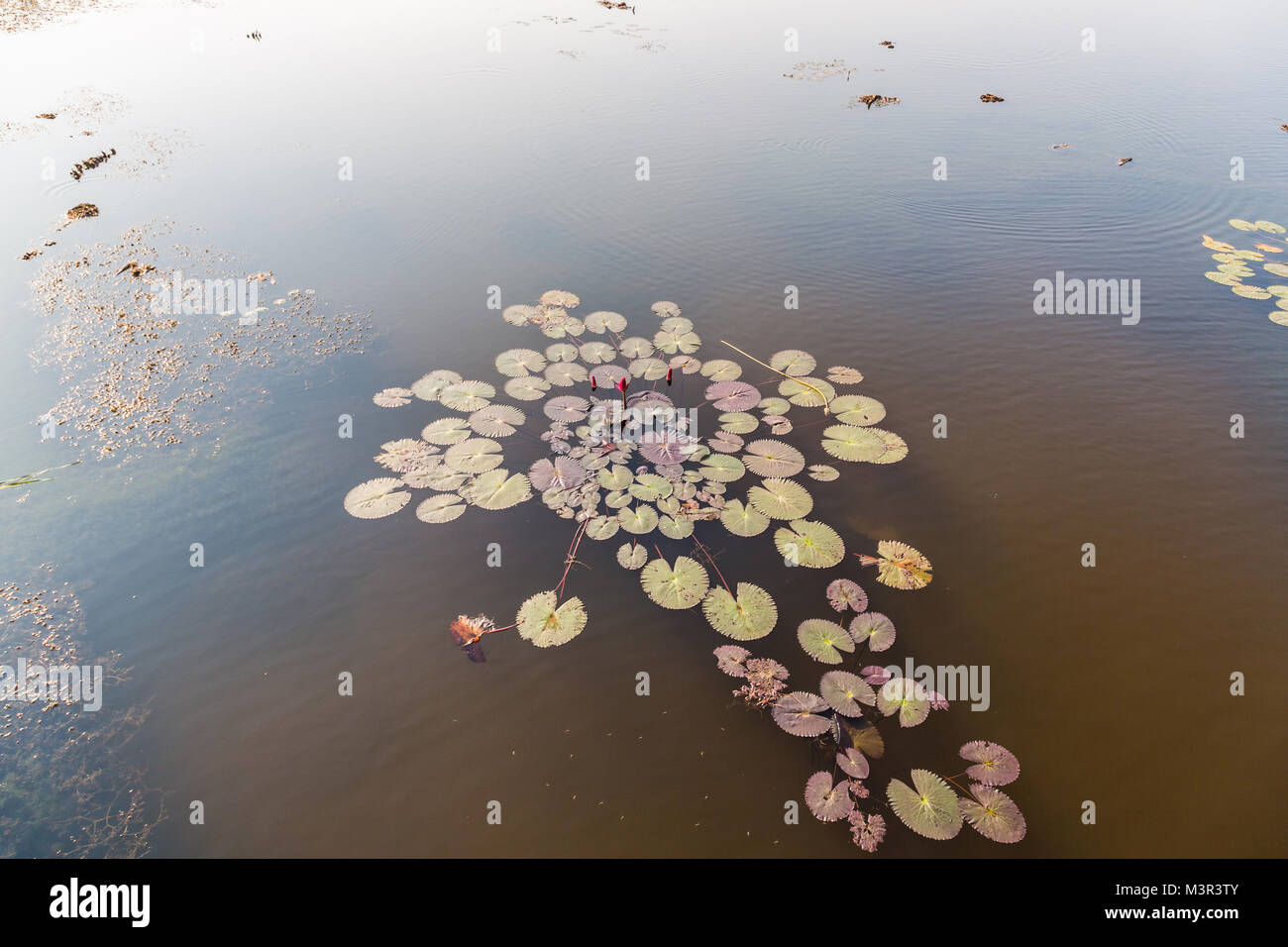 Thailand, Sam Roi Yot National Park Stock Photo - Alamy