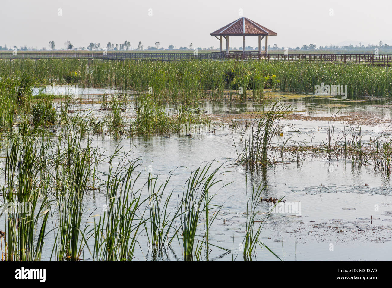Thailand, Sam Roi Yot National Park Stock Photo - Alamy